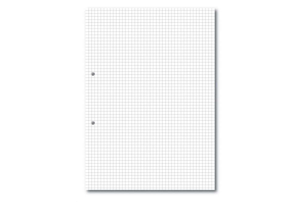 Popular Exercise Paper A4 Squared Paper 5mm 2 Hole Punched Pk500 | WPS ...